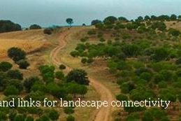 Disponible la nueva versión 2.6 del paquete de software Conefor